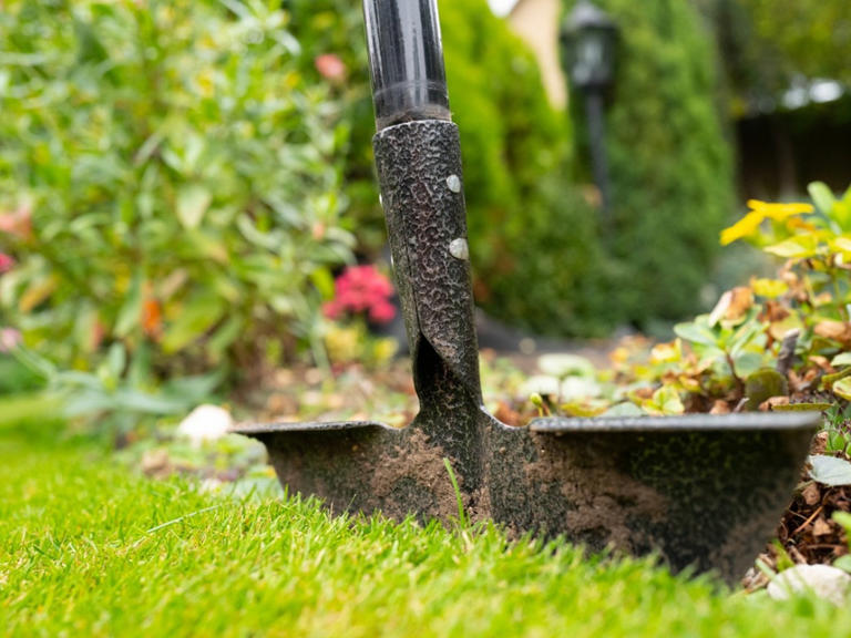 The simple edging trick that sharpens borders and helps with garden ...