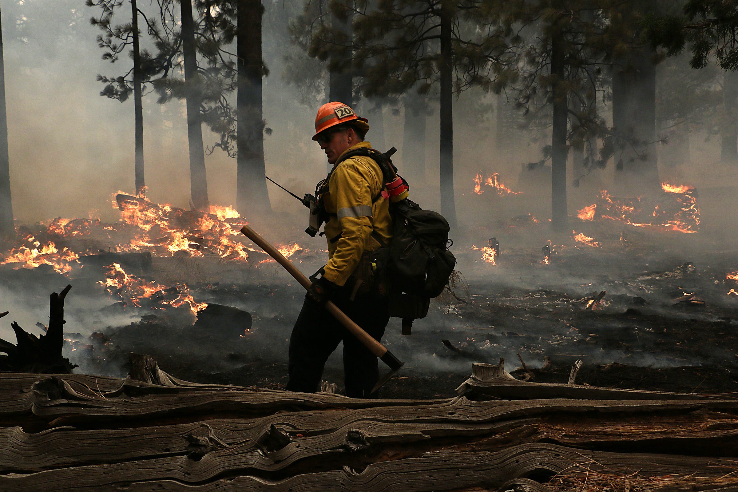California's fire-driven forest loss ranks among highest in the world