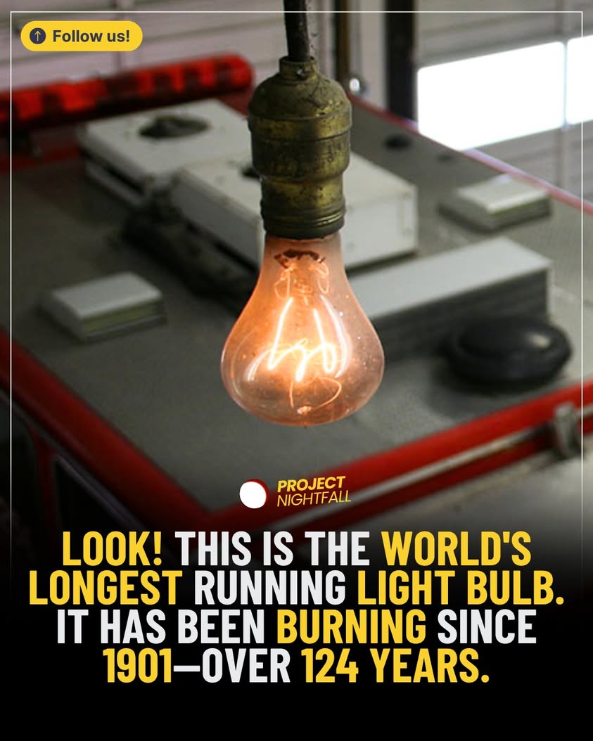 Immortal light! This bulb has burned for 124 years, defying all logic
