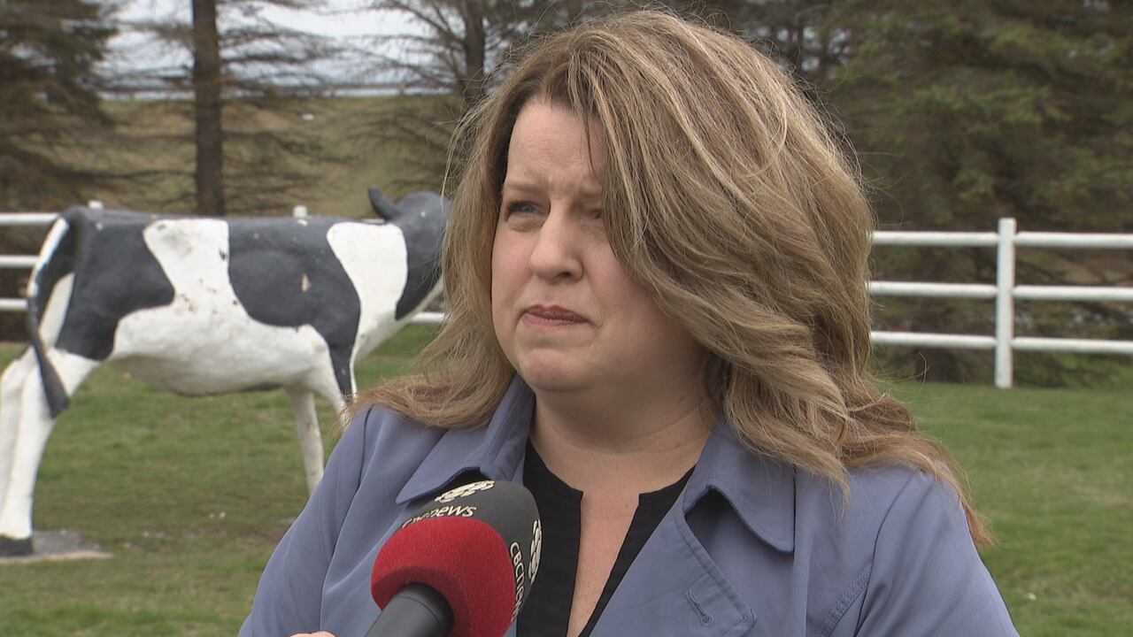 PC MLA questions provincial payments to Agropur months before Sussex ...