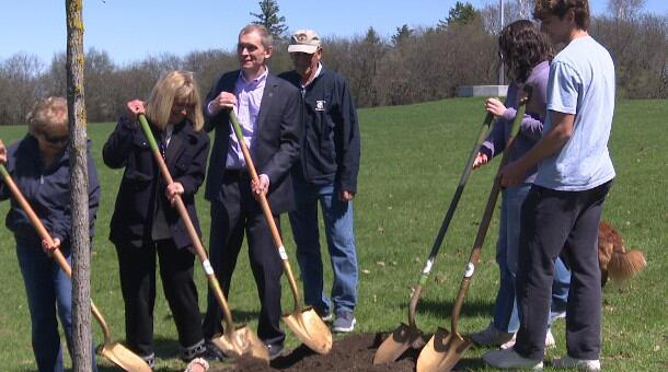 Watertown plants tree honoring city planning director at Arbor Day ceremony