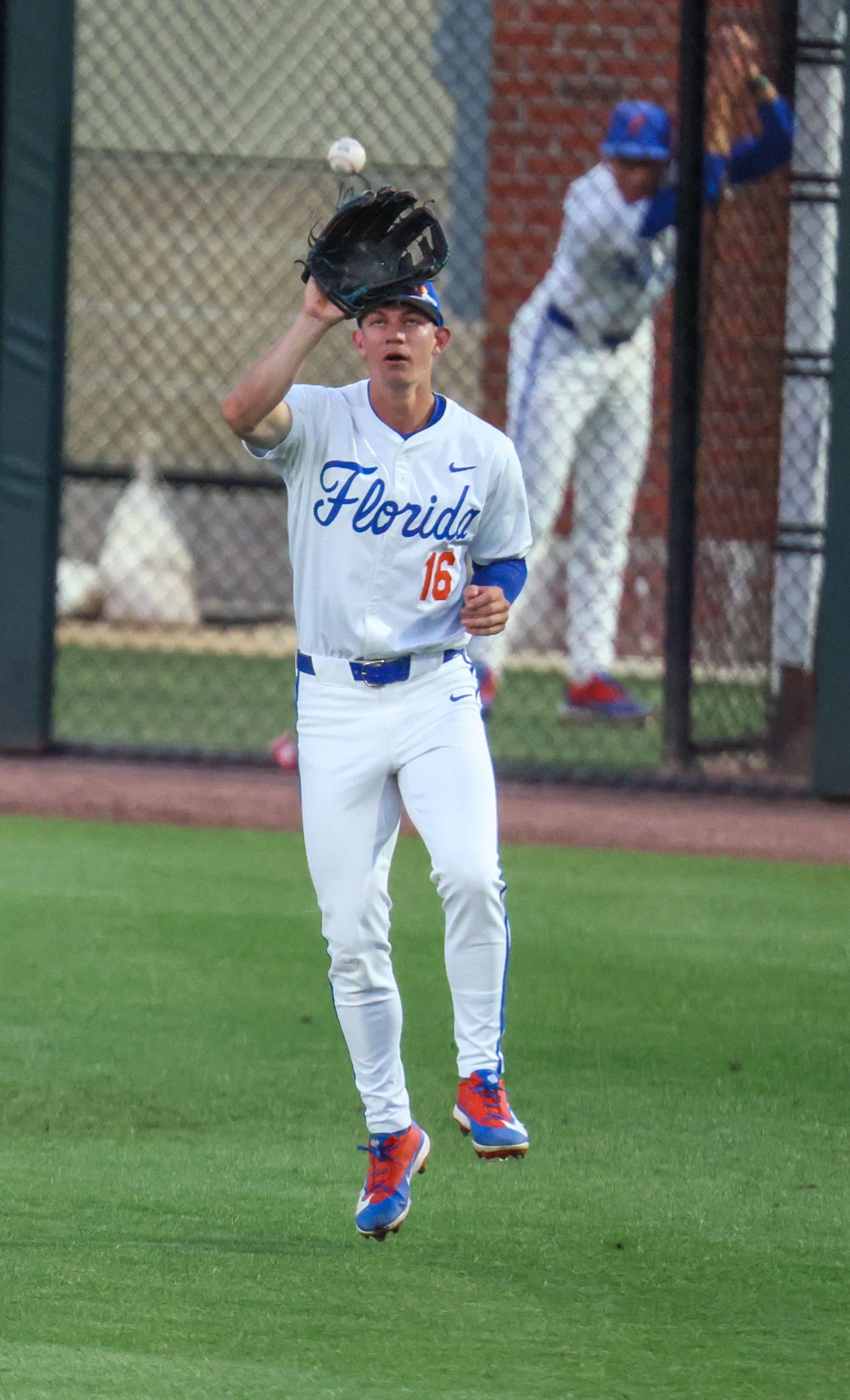 Florida baseball moves up in latest national rankings. See where UF ranks