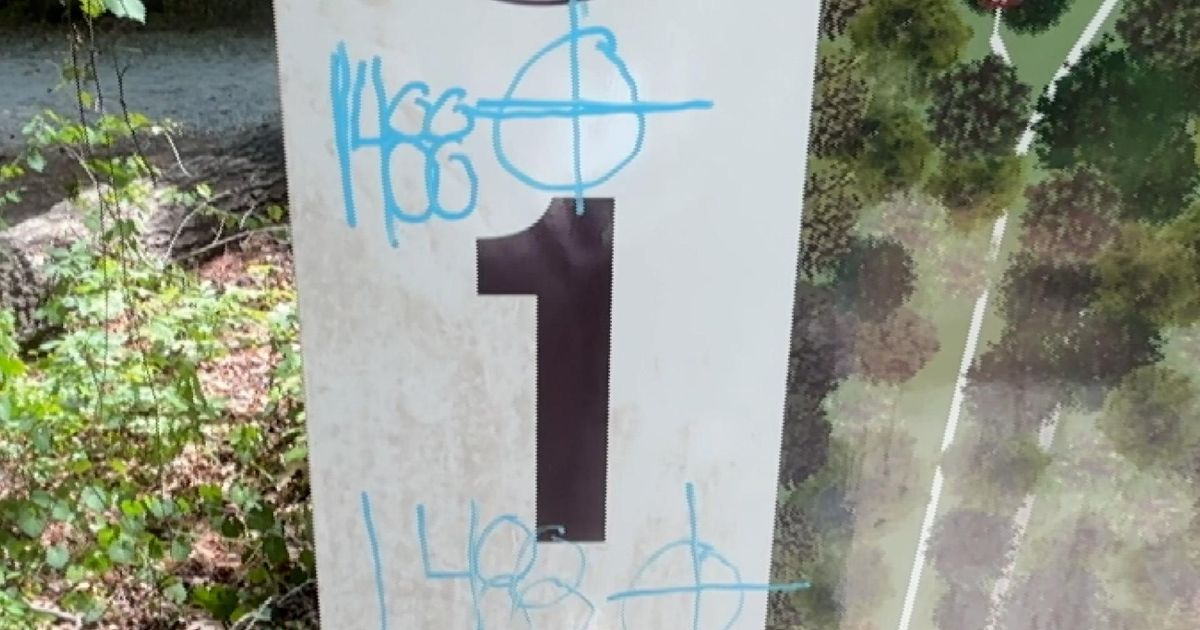 White supremacist and neo-Nazi signs found at Clayton Park