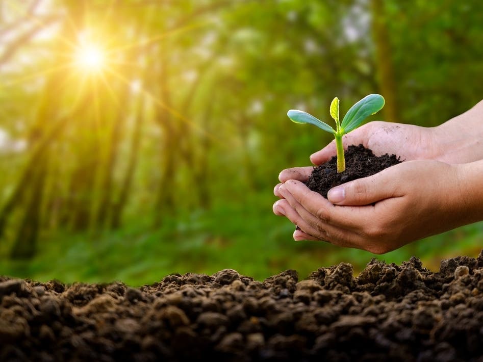 Hamden Earth Day celebration: Here’s what to know