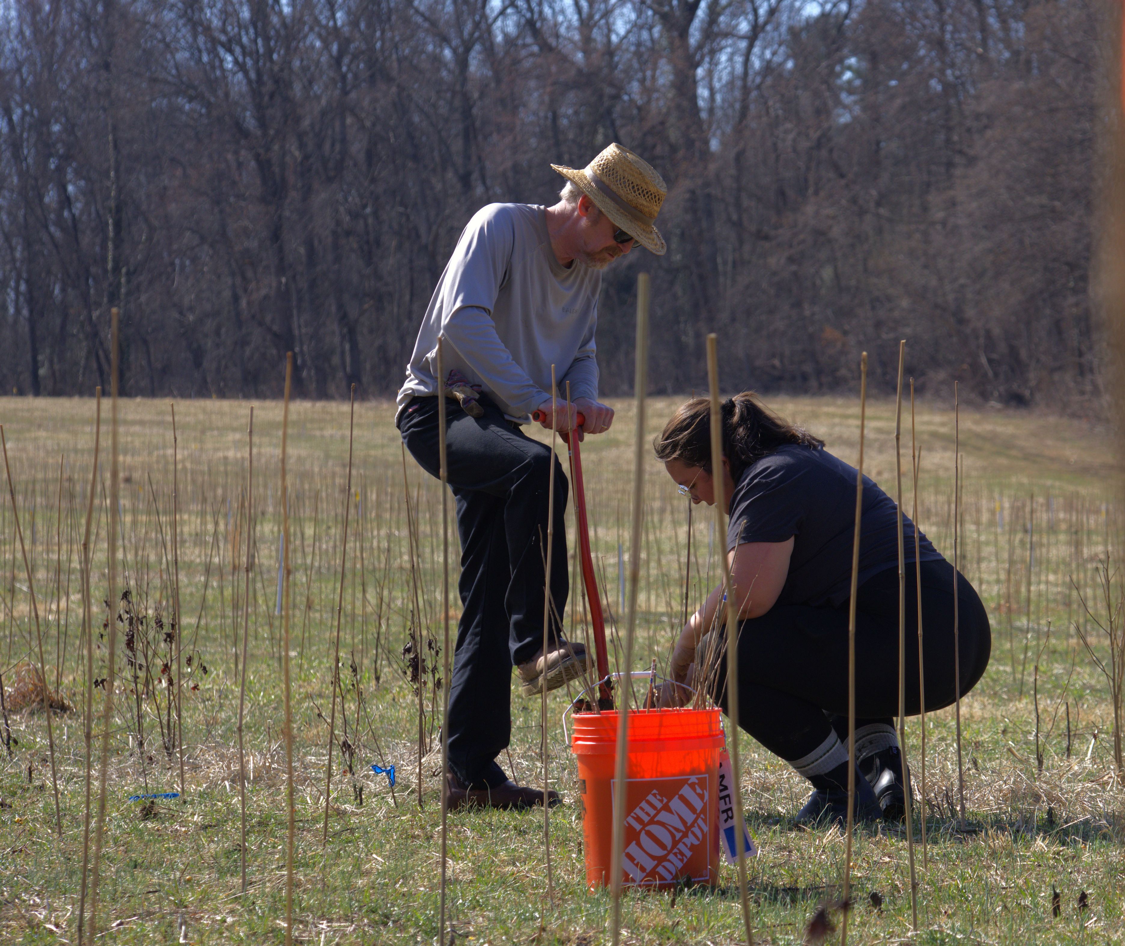 The planet needs prosperous forests. These scientists are planting more ...
