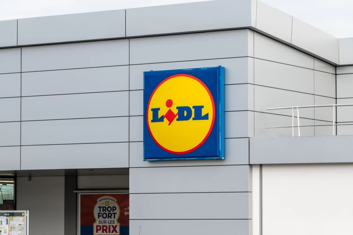From just £2.99, these Lidl plants that last for years are set to fly ...
