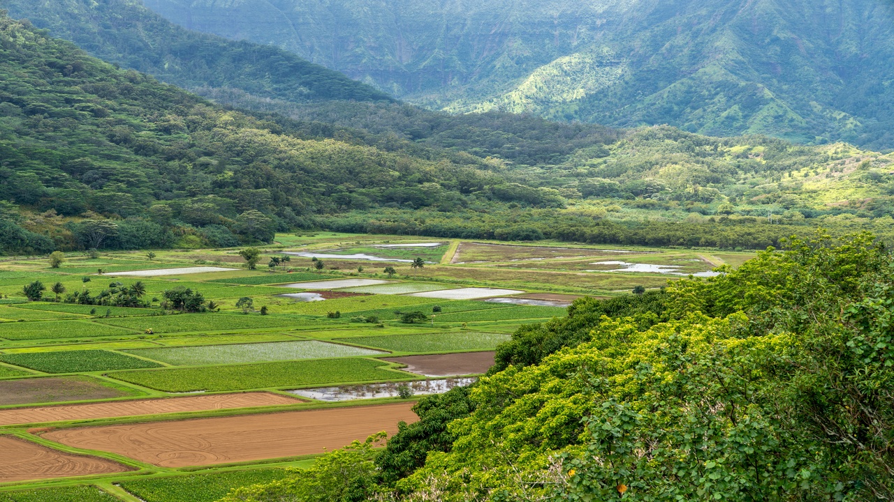 At 4,000 feet above the Na Pali Coast, Kauai’s best view sits just past ...