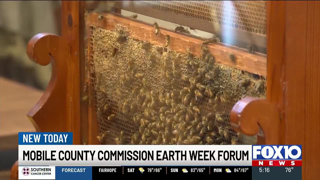 Mobile County Earth Week pollinator forum highlights importance of ...