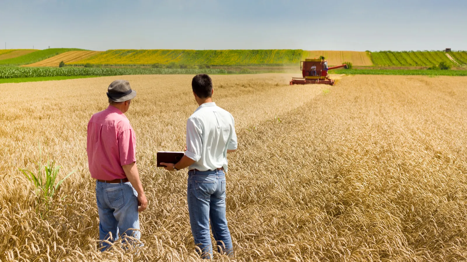 What happens to US farmers when tariff strain, war, and drought all hit ...