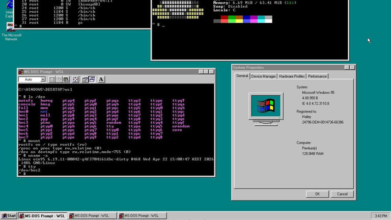 Linux and Windows 95 running side by side? This dev made it happen.