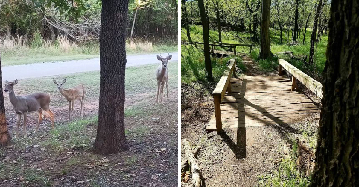 This 194-acre Oklahoma park feels normal at first, until you stumble ...
