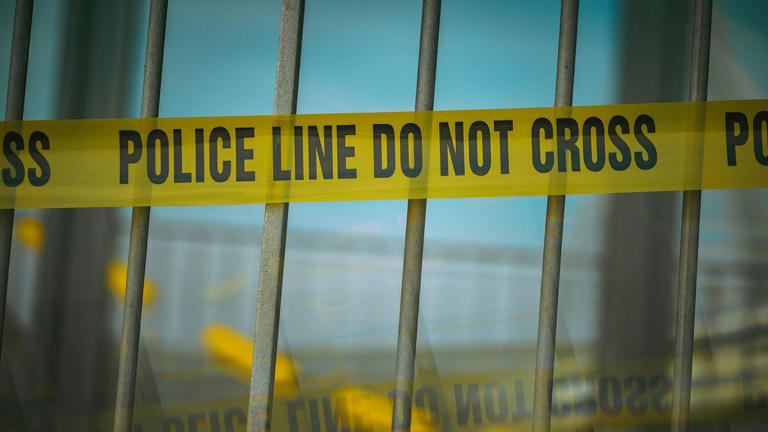 Days after Burrows calls for action against Roblox, it’s linked to ...