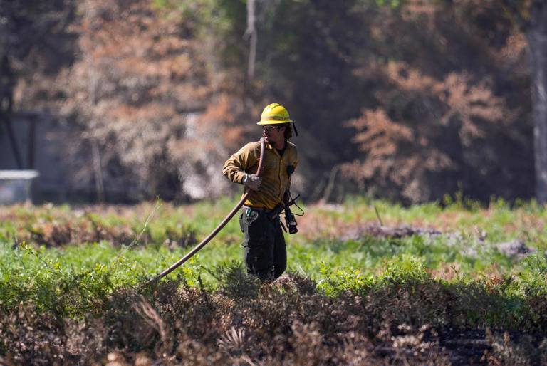 Everything you need to know about the raging wildfires in South Georgia