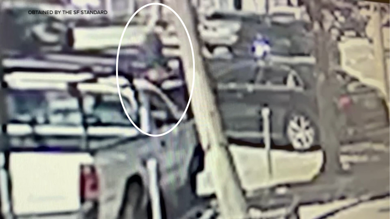 Suspect pleads not guilty in deadly San Francisco hit-and-run that ...