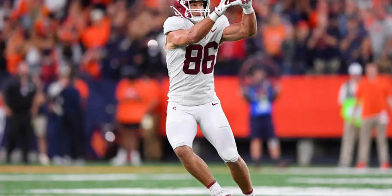 Who is Chicago Bears rookie tight end Sam Roush?