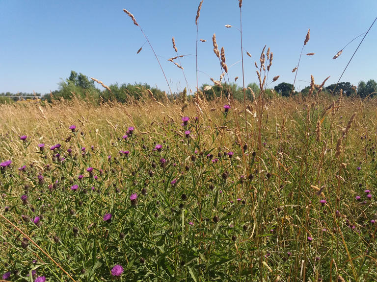 Weekly weather quiz: Test your knowledge