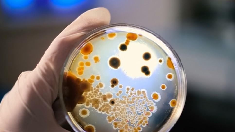They started this experiment 99 years ago - but nobody was meant to see it