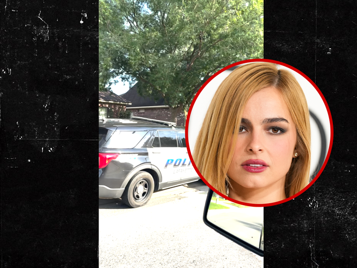 Cops called to Addison Rae's dad's home, cars lined up outside, on video