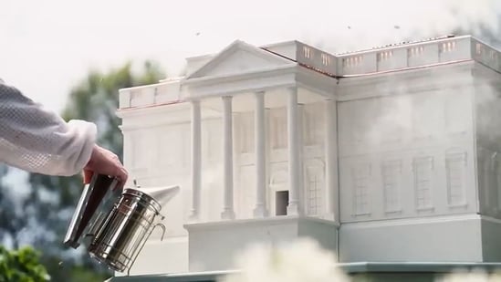 Why is there a White House-shaped beehive on the South Lawn? Inside ...