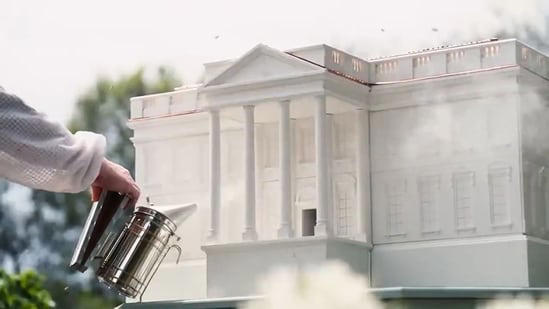 Why is there a White House-shaped beehive on the South Lawn? Inside ...