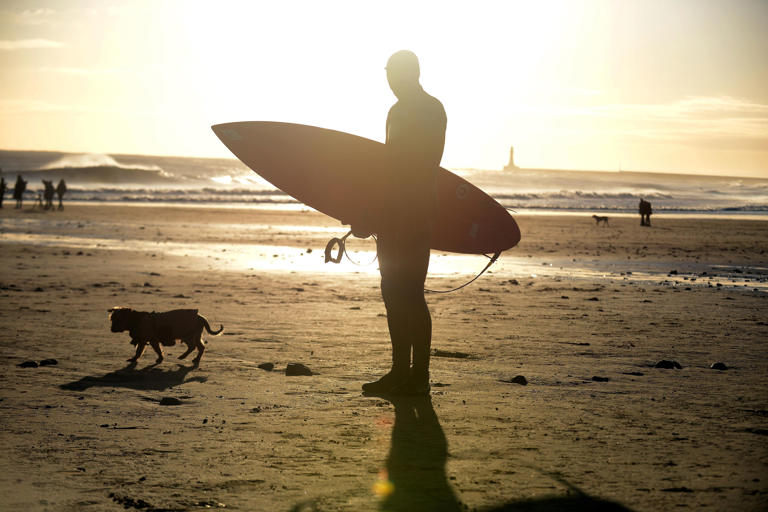 Reminder of dog exclusion zones and restrictions on Sunderland seafront