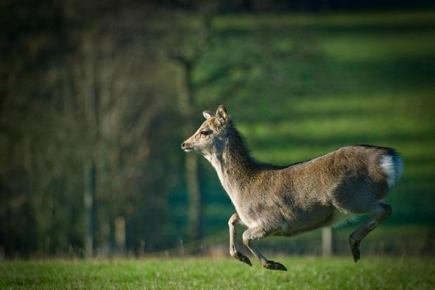 Discover the 'excellent' Reading farm that promises the 'perfect day ...