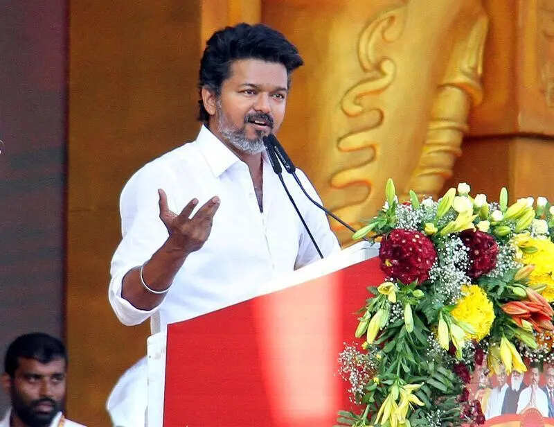 Day after the Tamil Nadu assembly elections 2026: TVK chief Vijay does ...