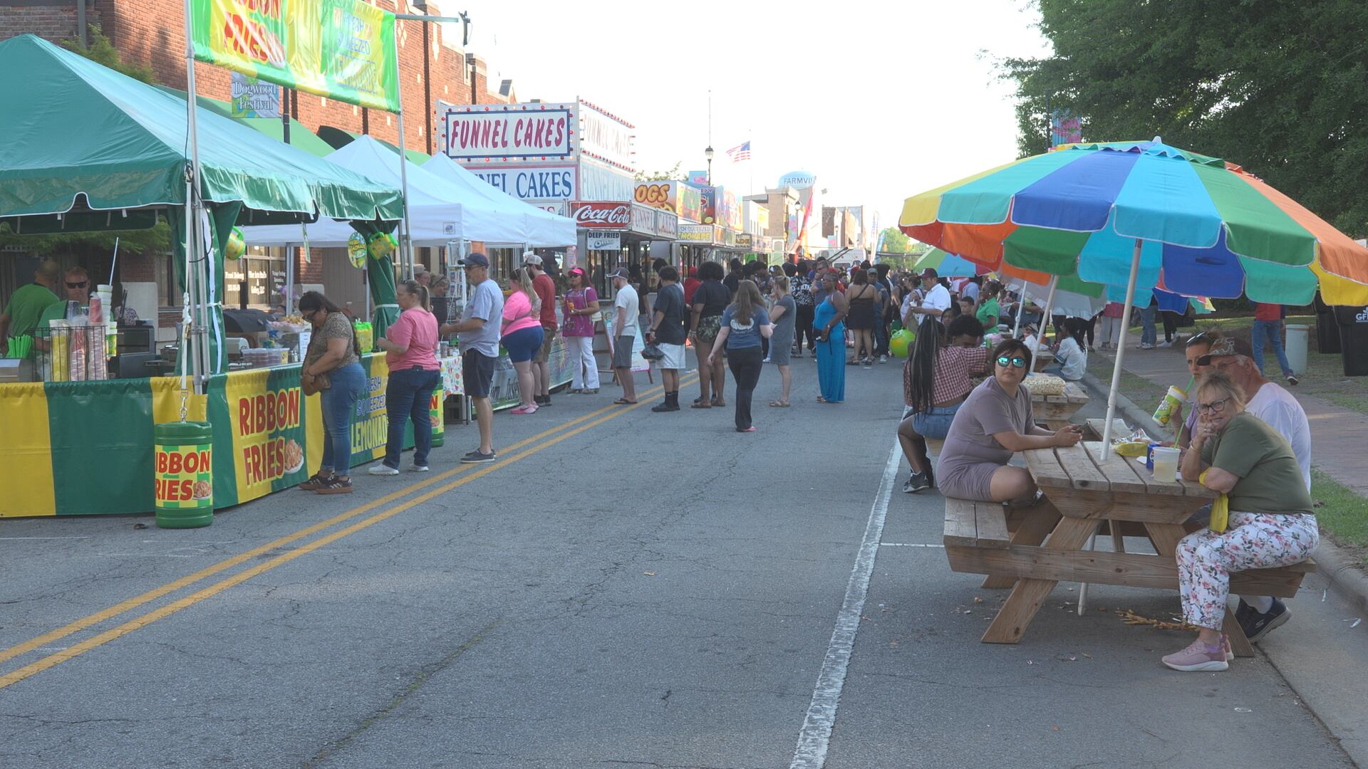 Farmville Dogwood Festival kicks off 37th year this weekend
