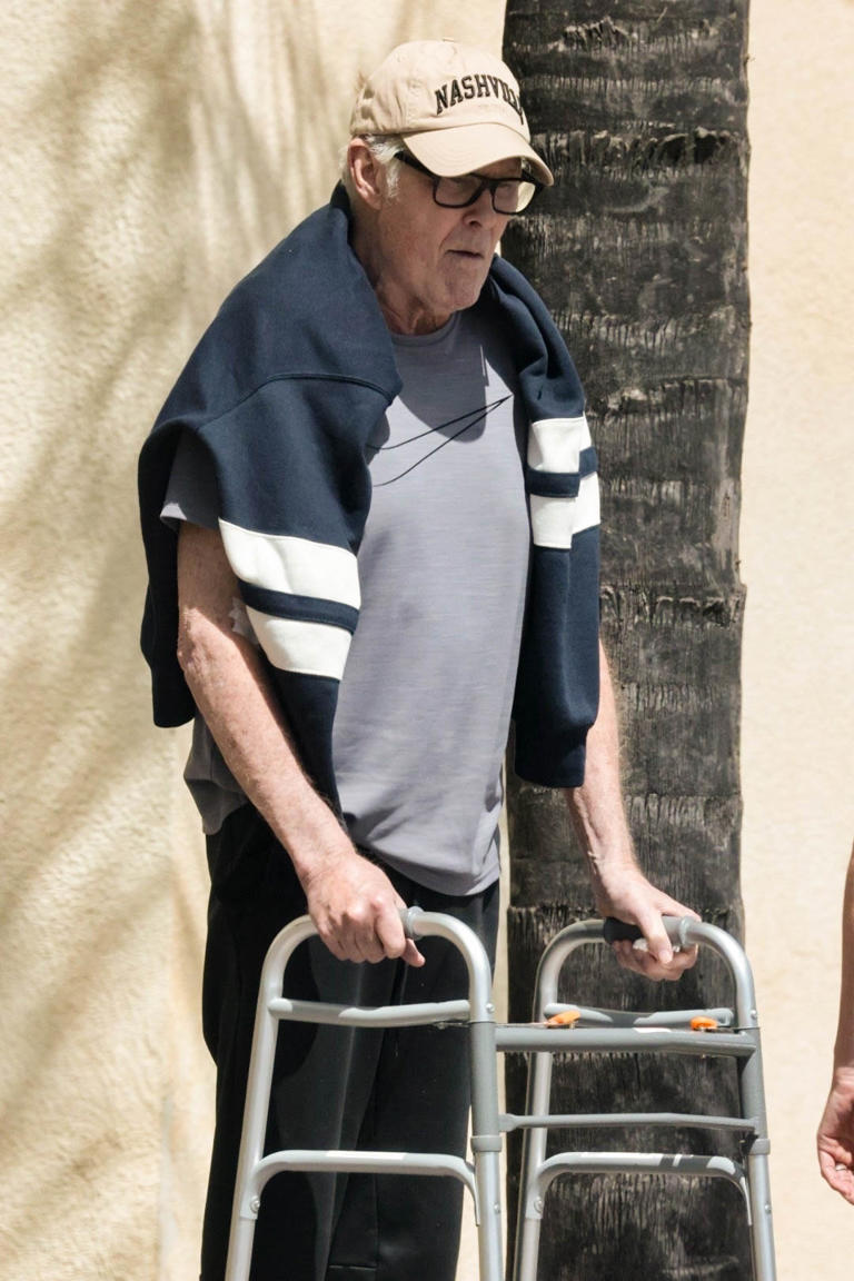 David Hasselhoff, 73, uses walker during rare outing with wife Hayley ...