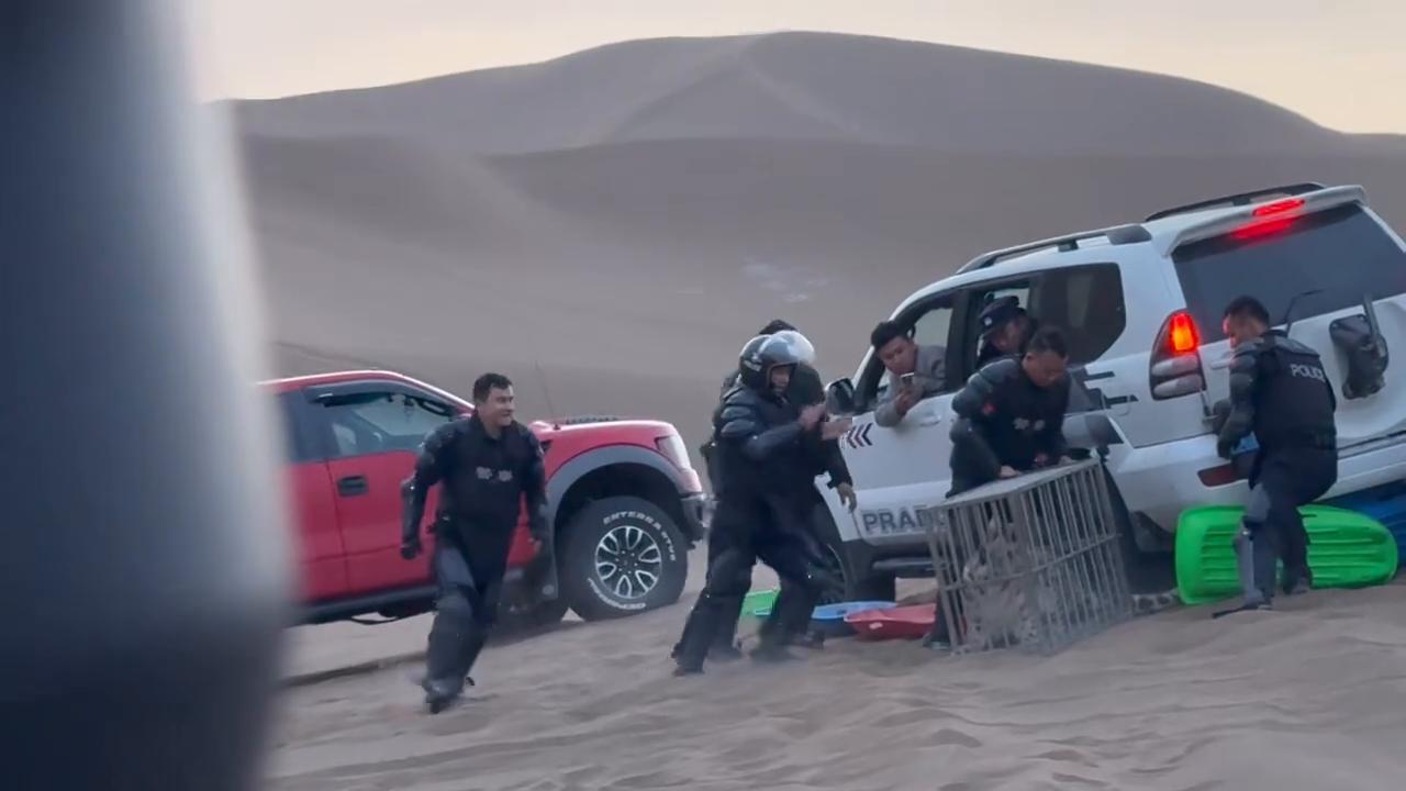 Rare snow leopard rescue operation in Kumtag Desert, Xinjiang, China