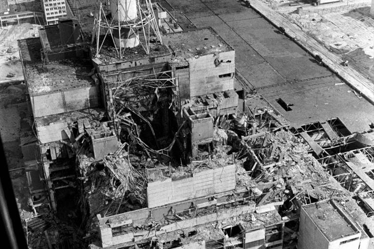 Chernobyl disaster zone has more wildlife than Ukraine’s reserves