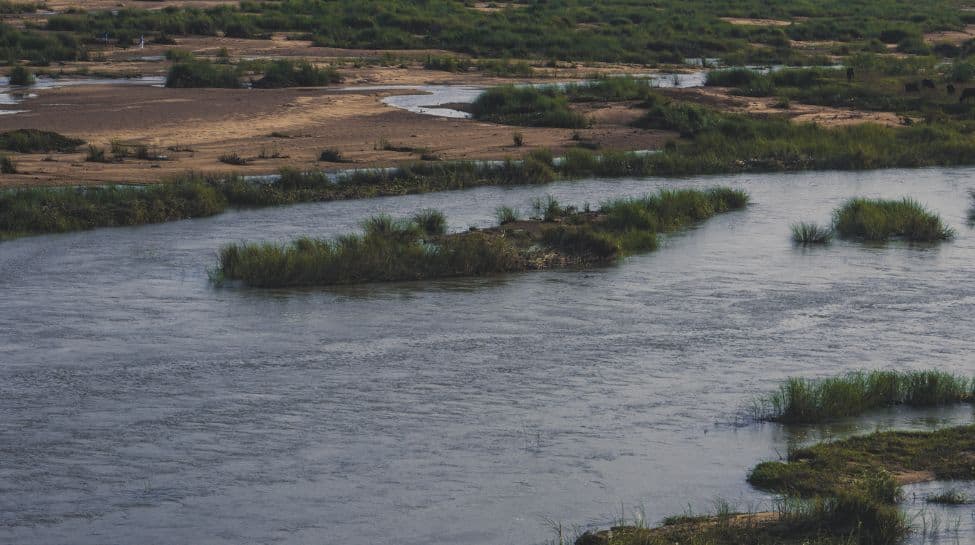 India’s only saline river: Here's what we know about it