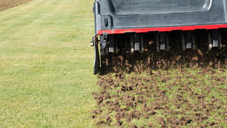 11 secrets to a lawn that’s greener than your neighbor's
