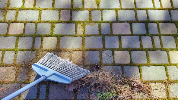 Moss will disappear from your patio if common ingredient is poured on top