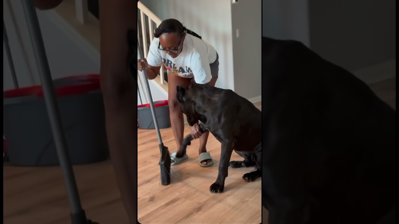 He's not afraid of the broom anymore