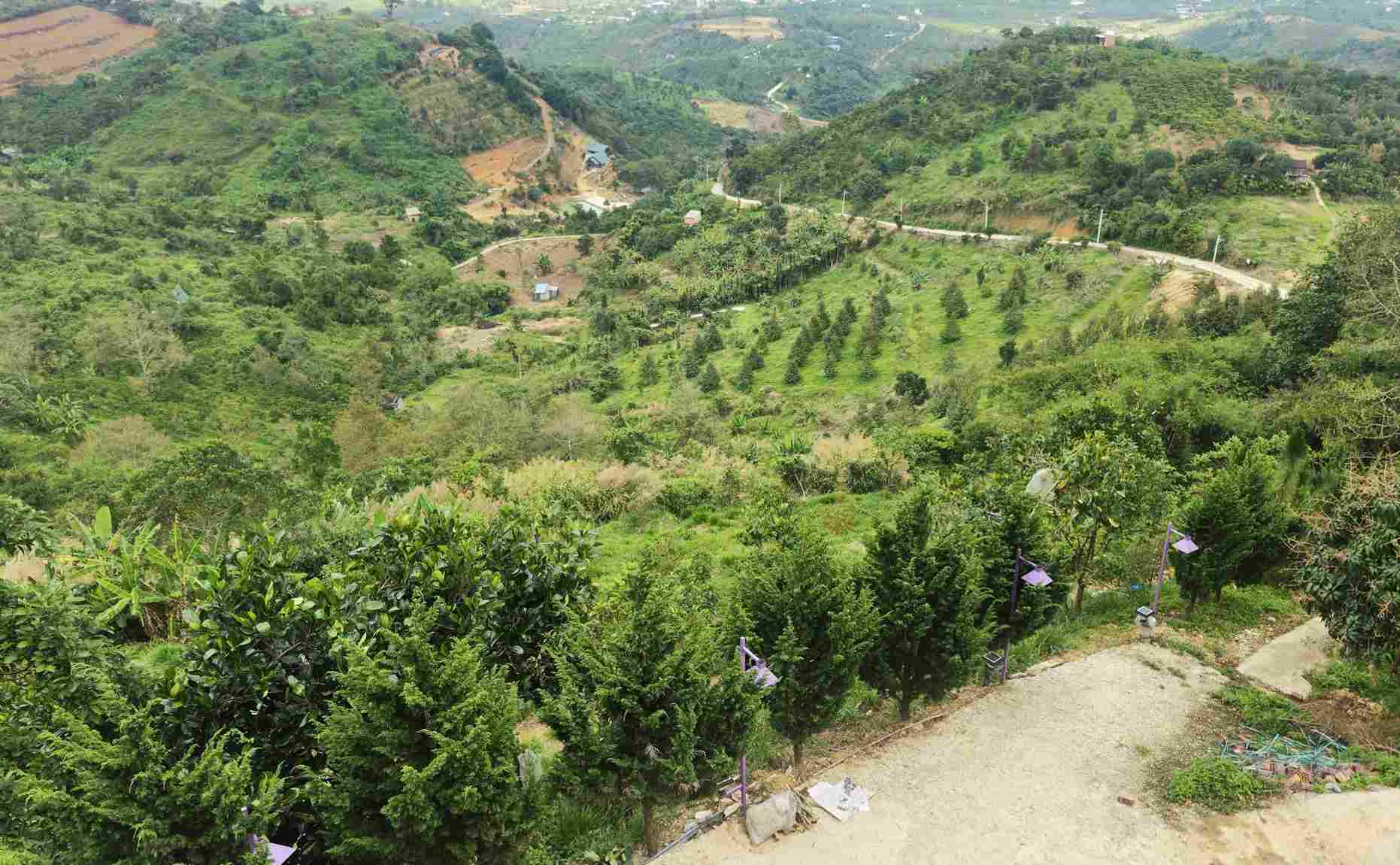 Vẽ dự án “Làng Oa” ở Lâm Đồng để kêu gọi vốn, bán đất
