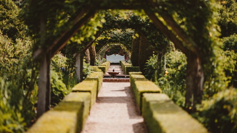 10 Tuscan garden ideas that will transform your backyard into an ...