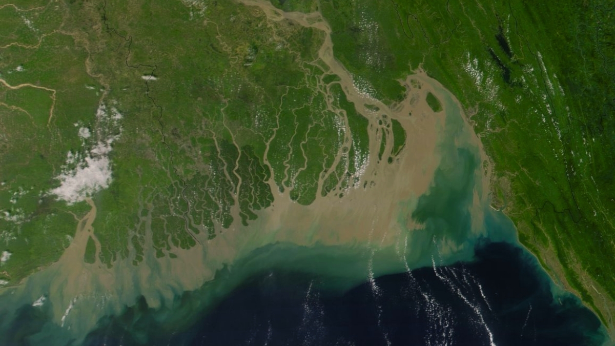 Which river forms the largest delta in the world?