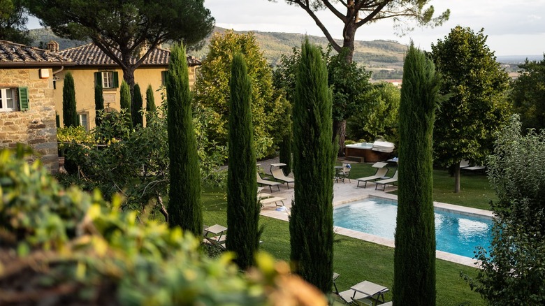10 Tuscan garden ideas that will transform your backyard into an ...
