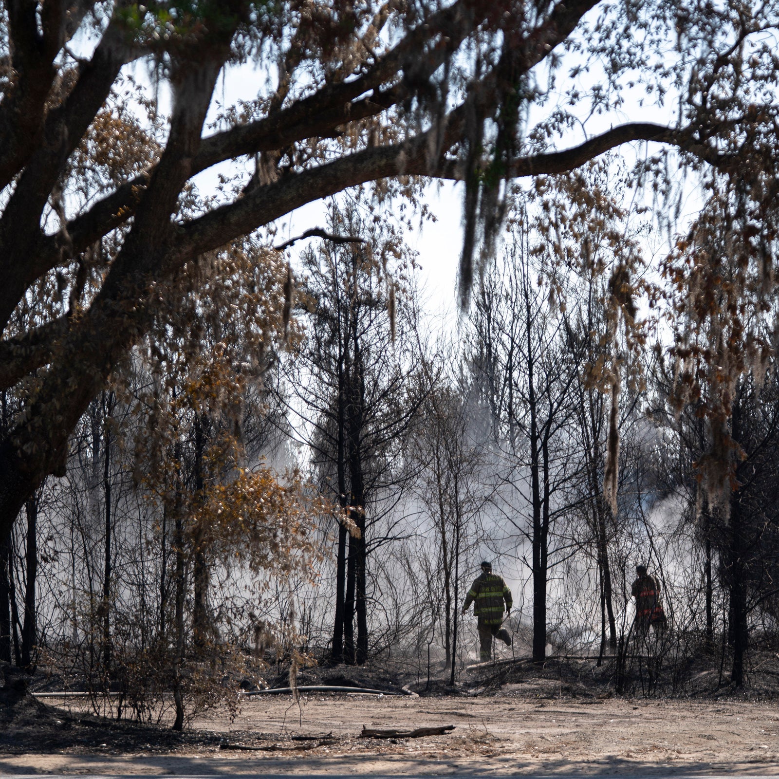 2 Georgia wildfires destroy more than 100 homes, scorch over 40,000 acres