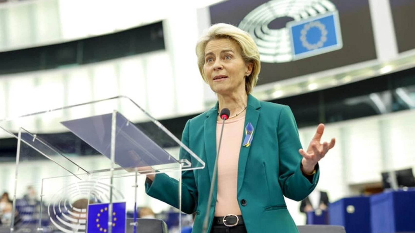 La UE endurece las normas a los dueños de perros y gatos: desde abril ...