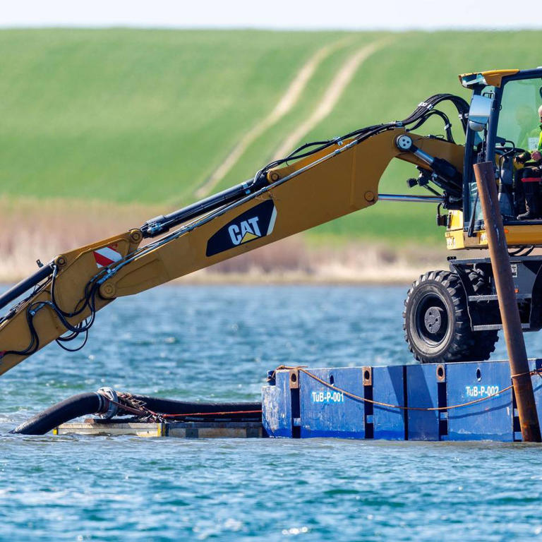 Bergung des gestrandeten Wals in der Ostsee hat begonnen