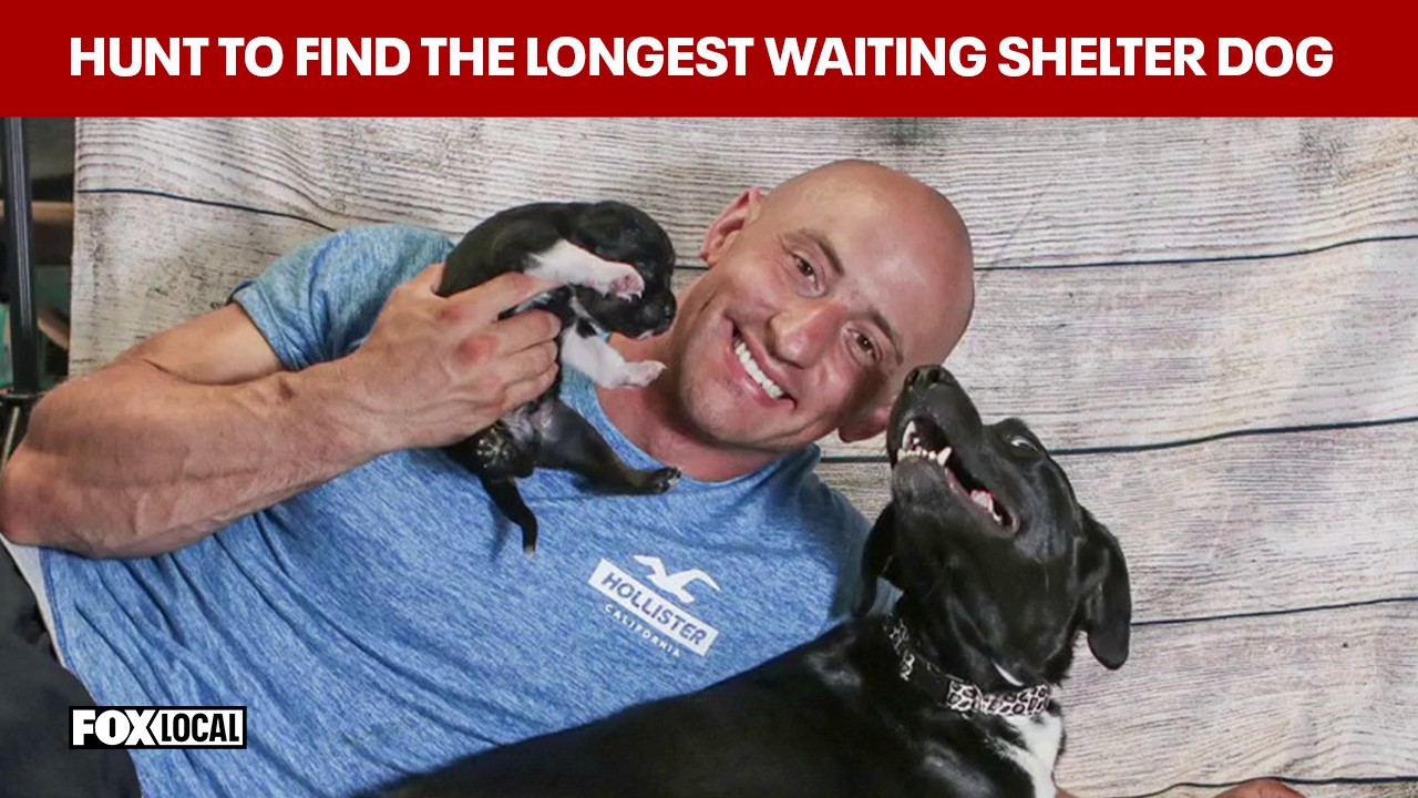 Nationwide hunt to find the longest waiting shelter dog