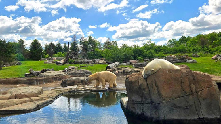 Ohio's largest zoo is a family-friendly destination outside Columbus ...
