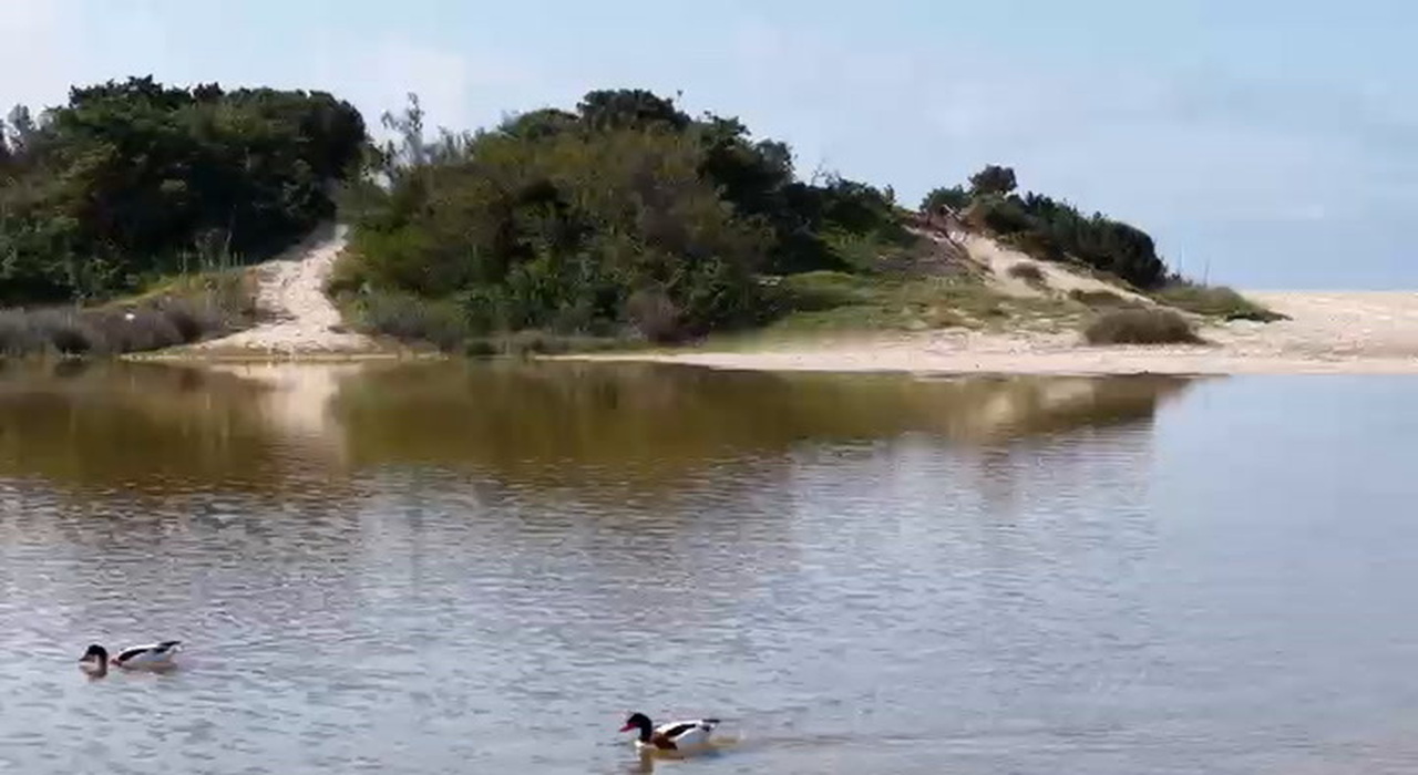 Porto Cesareo, pista da cross e parcheggio selvaggio nella riserva naturale