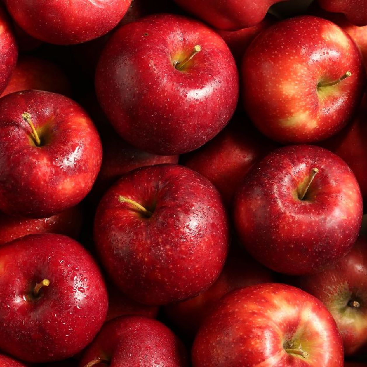 La science a tranché : les personnes qui mangent des pommes chaque jour ...