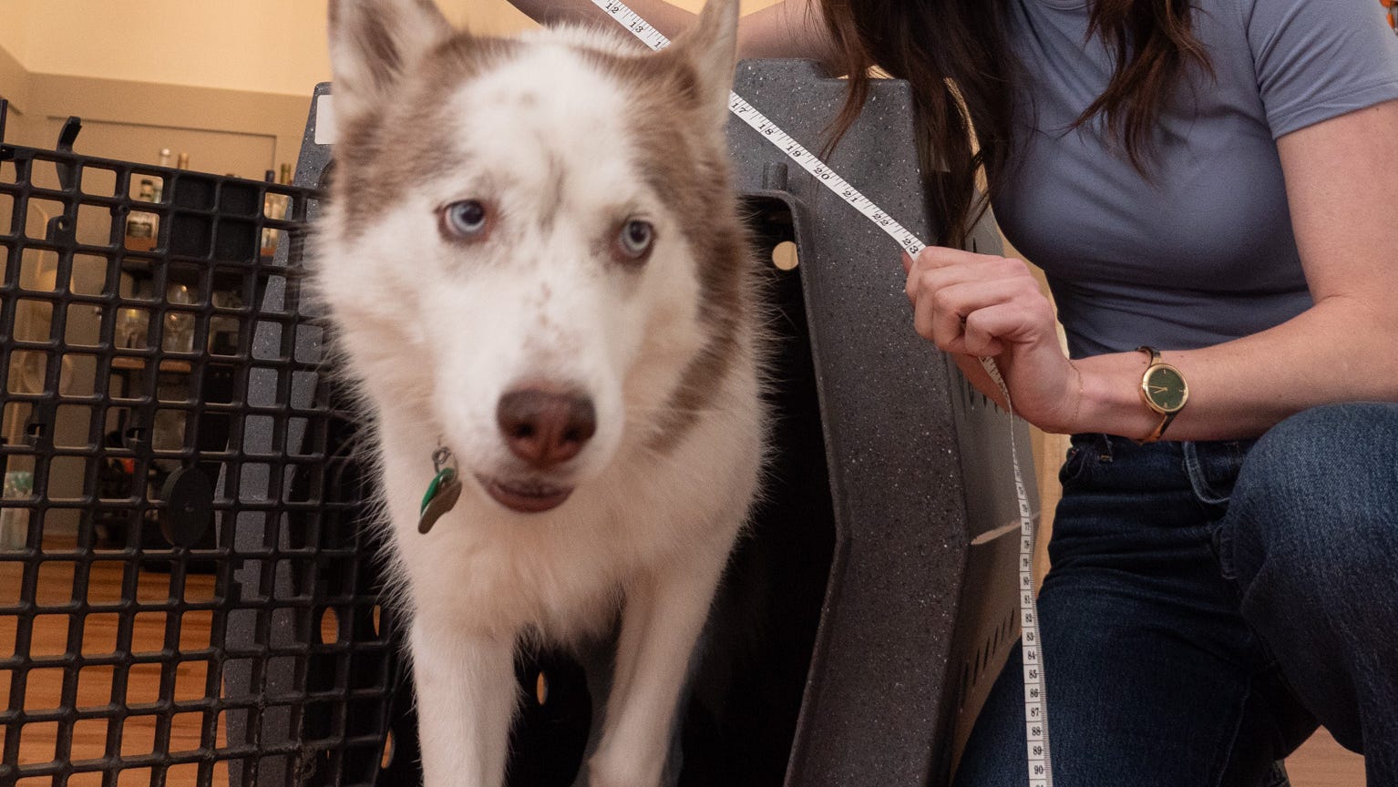 What size crate does my dog need? This is how to quickly find out