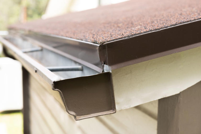 Does vinegar actually get rid of ants? Pest pros break down what works ...