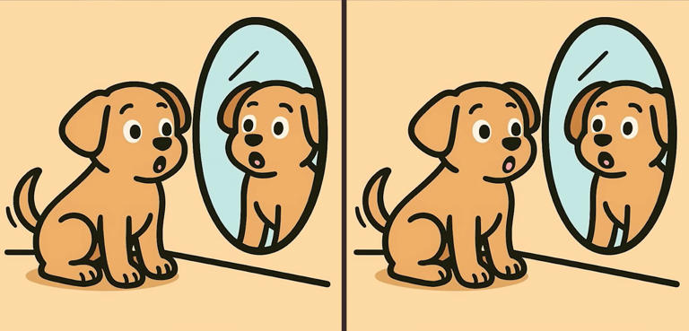This dog and mirror spot the difference puzzle is fooling everyone ...