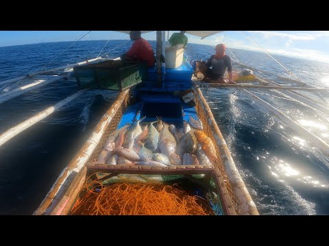 I caught the biggest fish in Palawan! 🎣